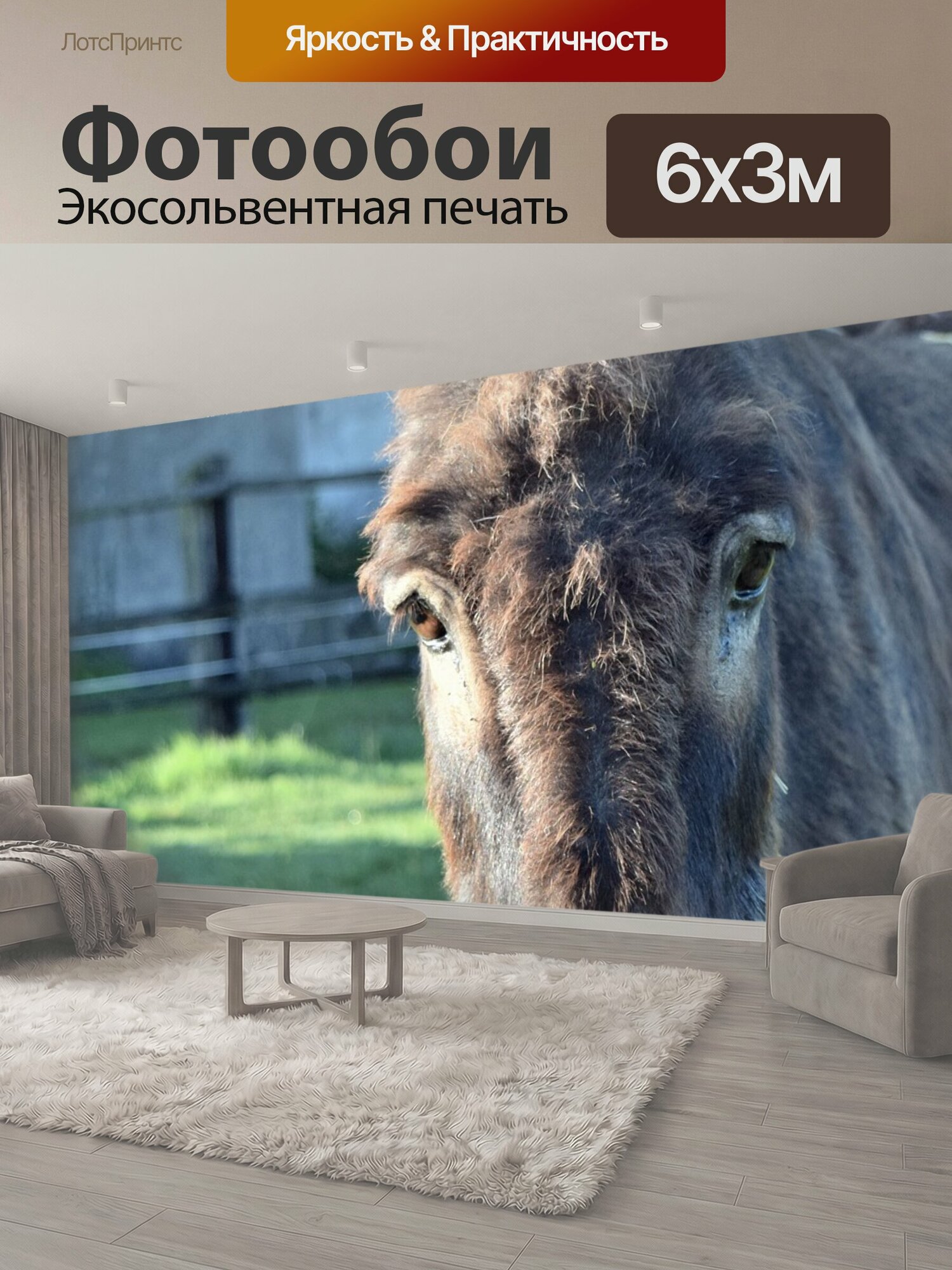 Фотообои "Домашний осёл, голова, животное" 600x300 см. экосольвентная печать