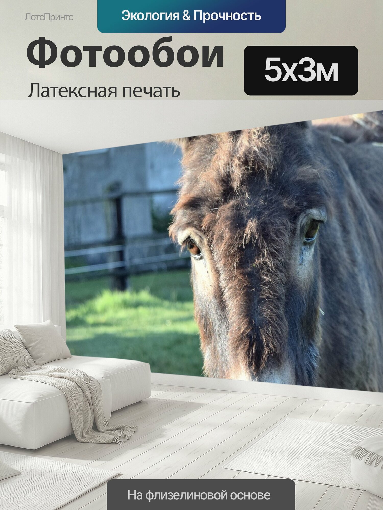 Фотообои моющиеся ударопрочные "Домашний осёл, голова, животное" 500x300 см. латексная печать