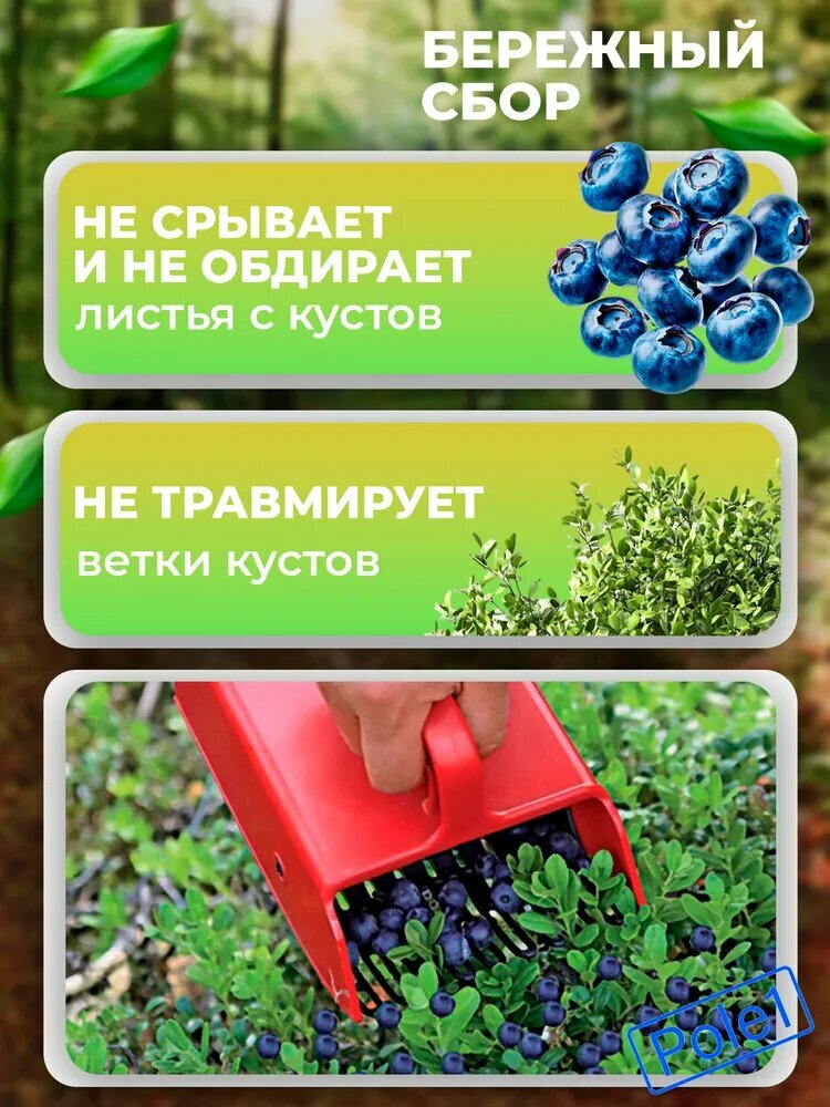 Плодосборник,22.5х14х12.5см — фото 1