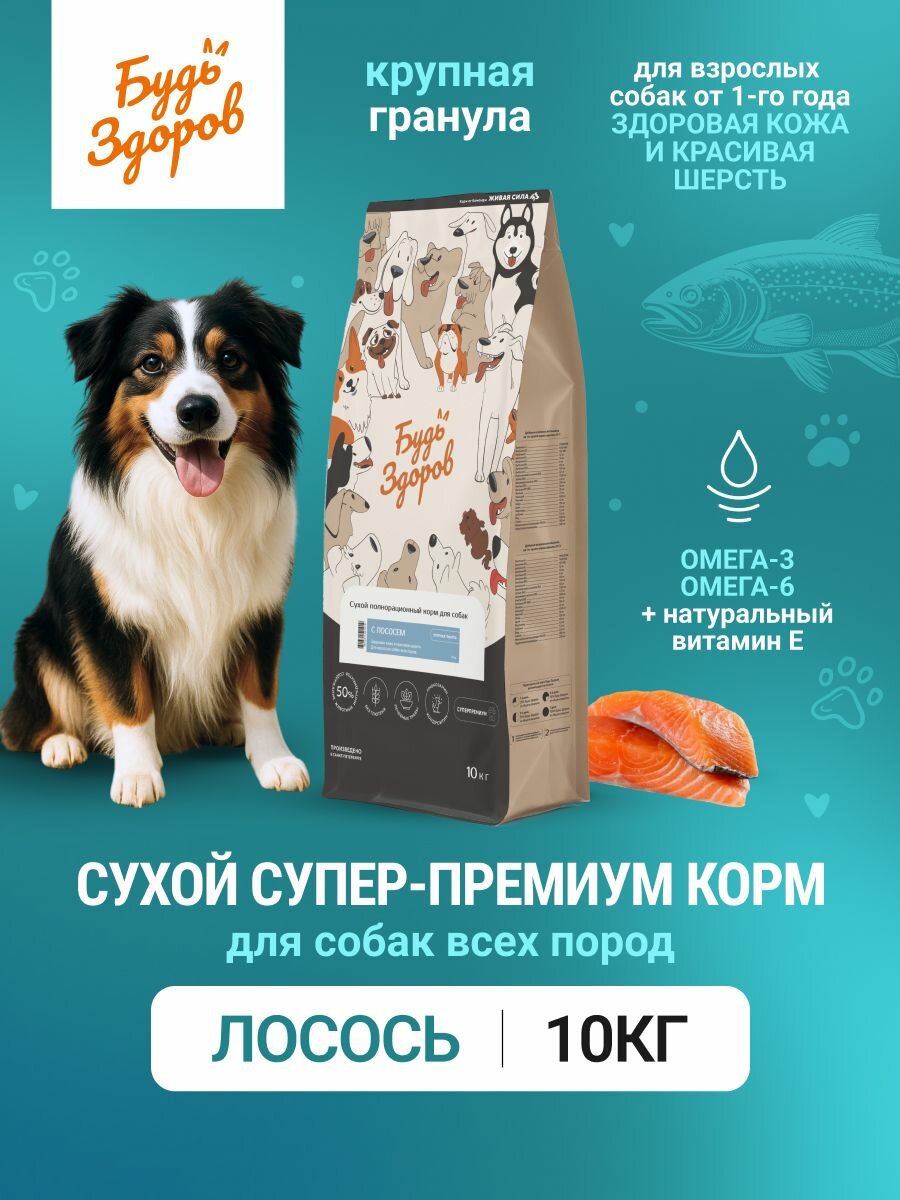 Сухой корм для собак с лососем крупная гранула 10кг