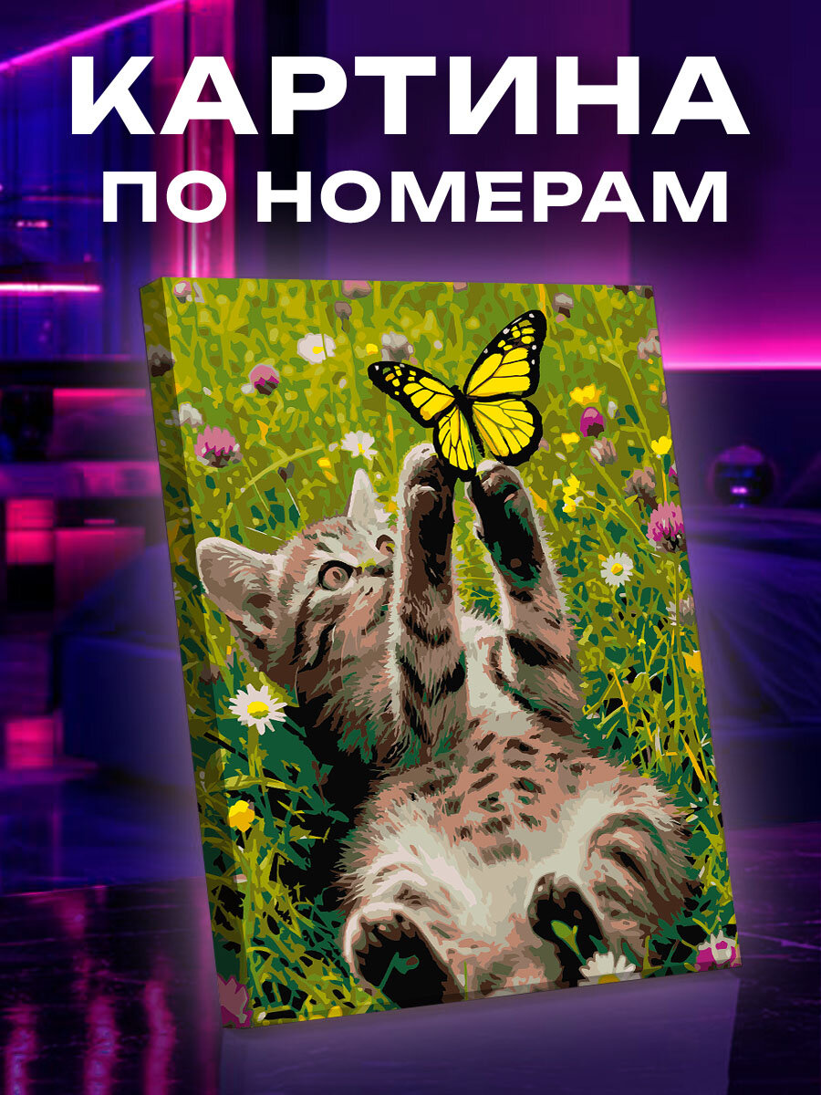 Картина по номерам Котёнок и сияющая бабочка
