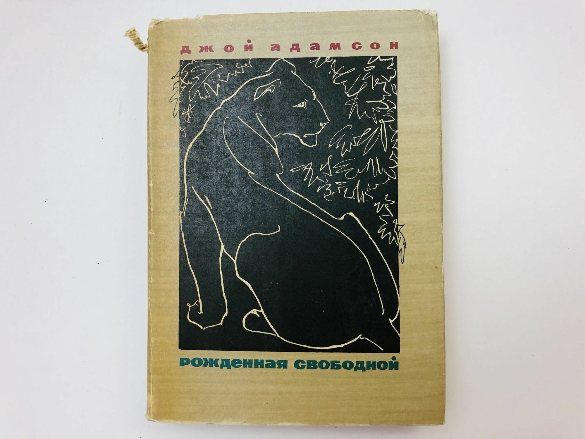 Рожденная свободной