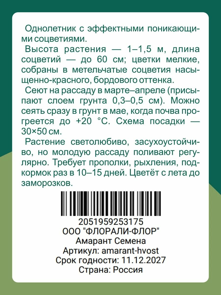 Амарант Семена — фото 1