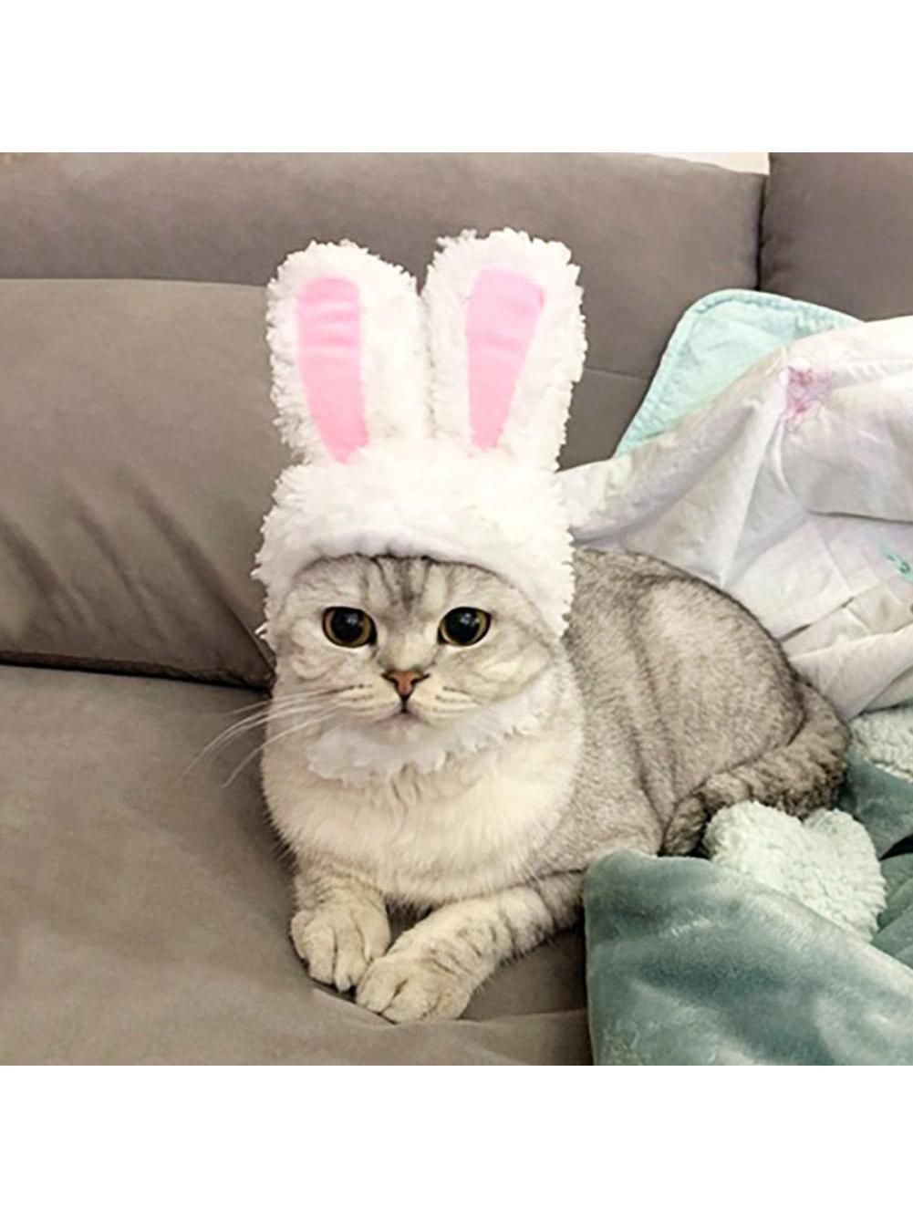 Теплый головной убор для кошки, домашняя шапочка заячьи ушки