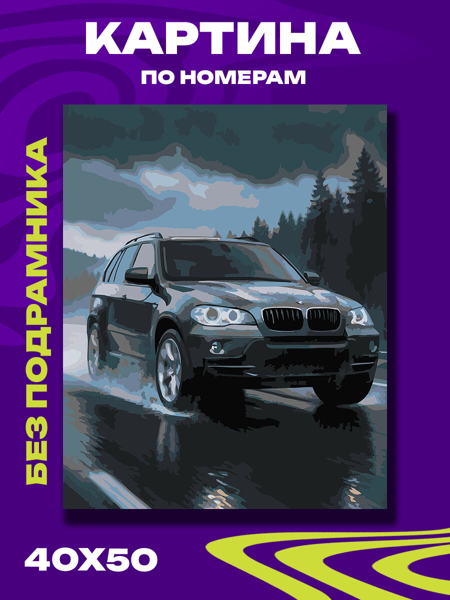 Картина по номерам Сквозь грозу на BMW