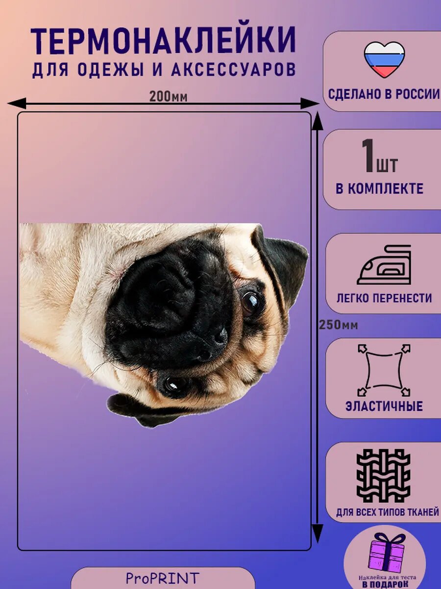 Термонаклейка на одежду