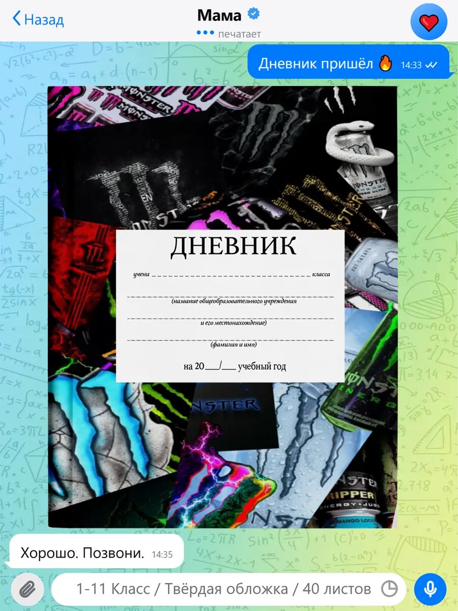 Школьный дневник с принтом Роблокс