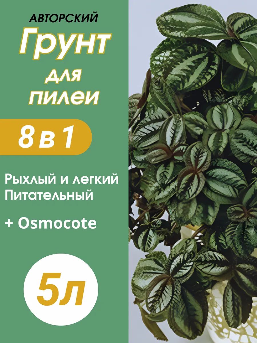 Грунт для Пилеи 5л готовый