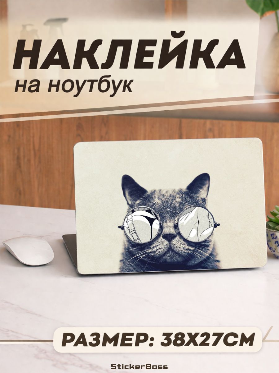 Наклейка на ноутбук Кот в очках 38х27 см