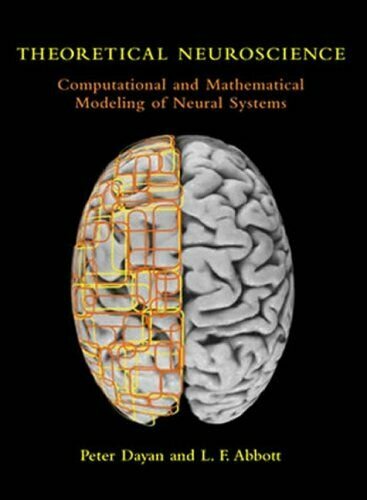 Theoretical Neuroscience : Computational and Mathematical Modeling of Neural Systems，печатная книга переиздания