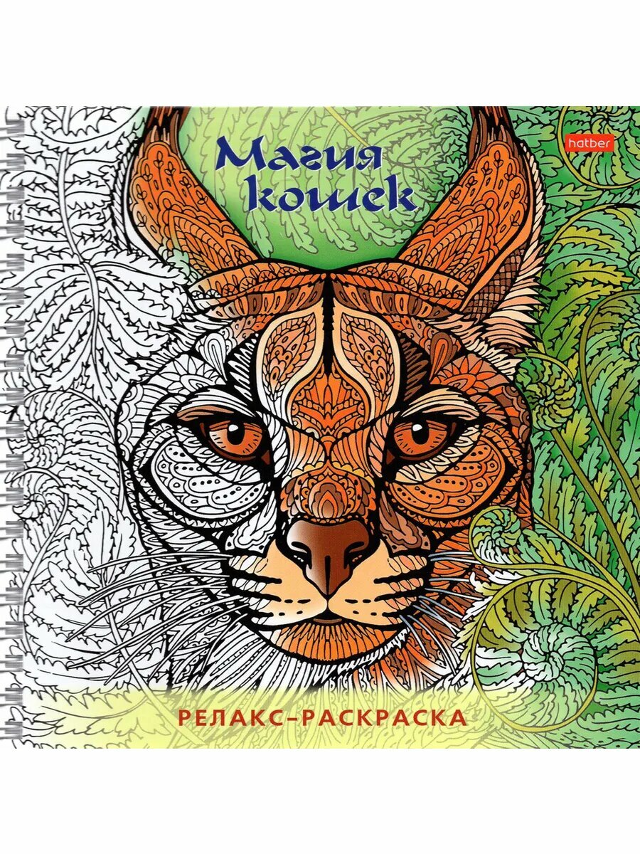 Раскраска-релакс. Магия кошек