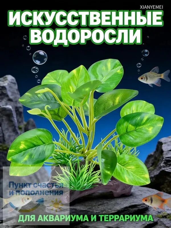 Искусственные водоросли для аквариума - яркий декор из безопасного пластика