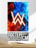 Постер на стену Alan Walker