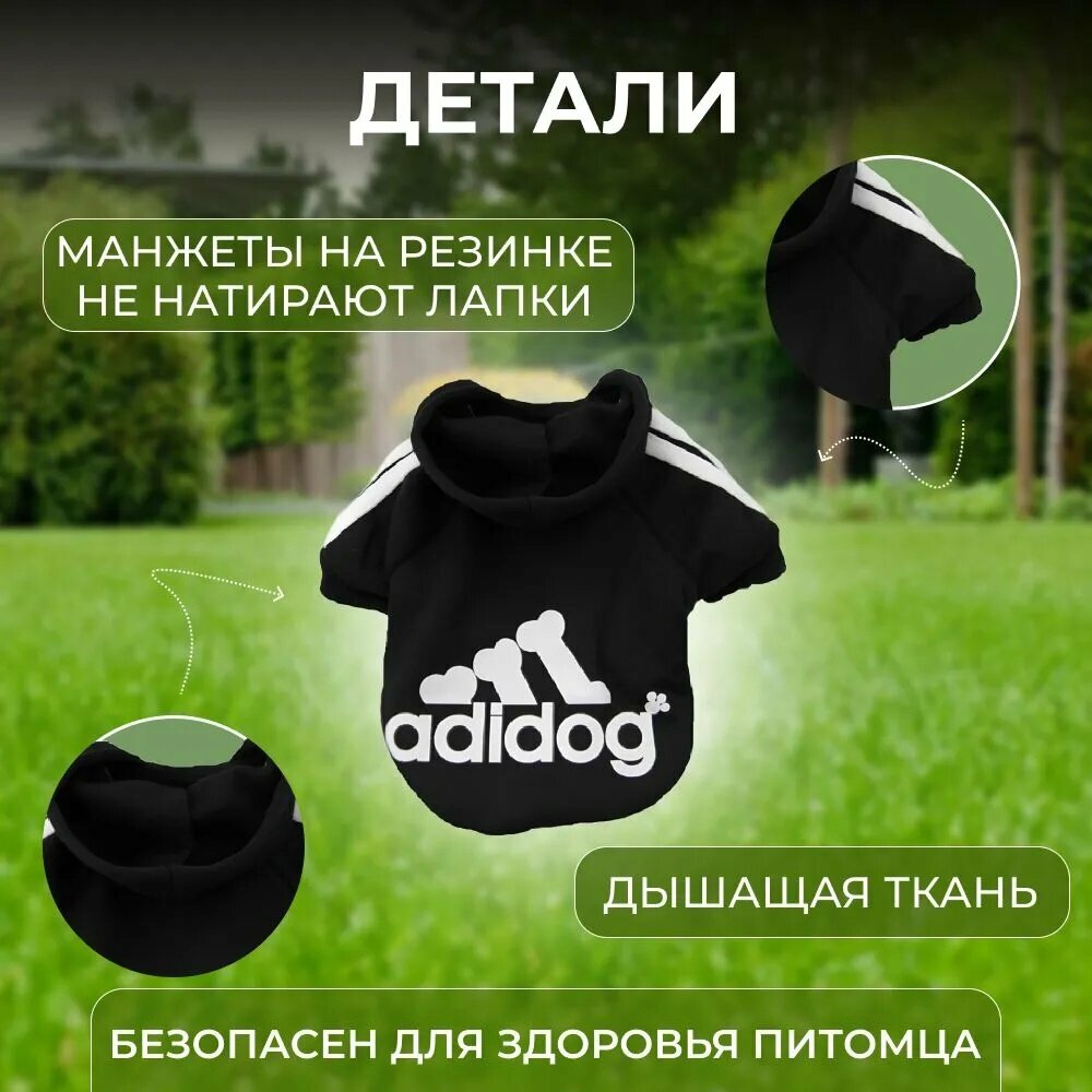 Одежда для животных — фото 1