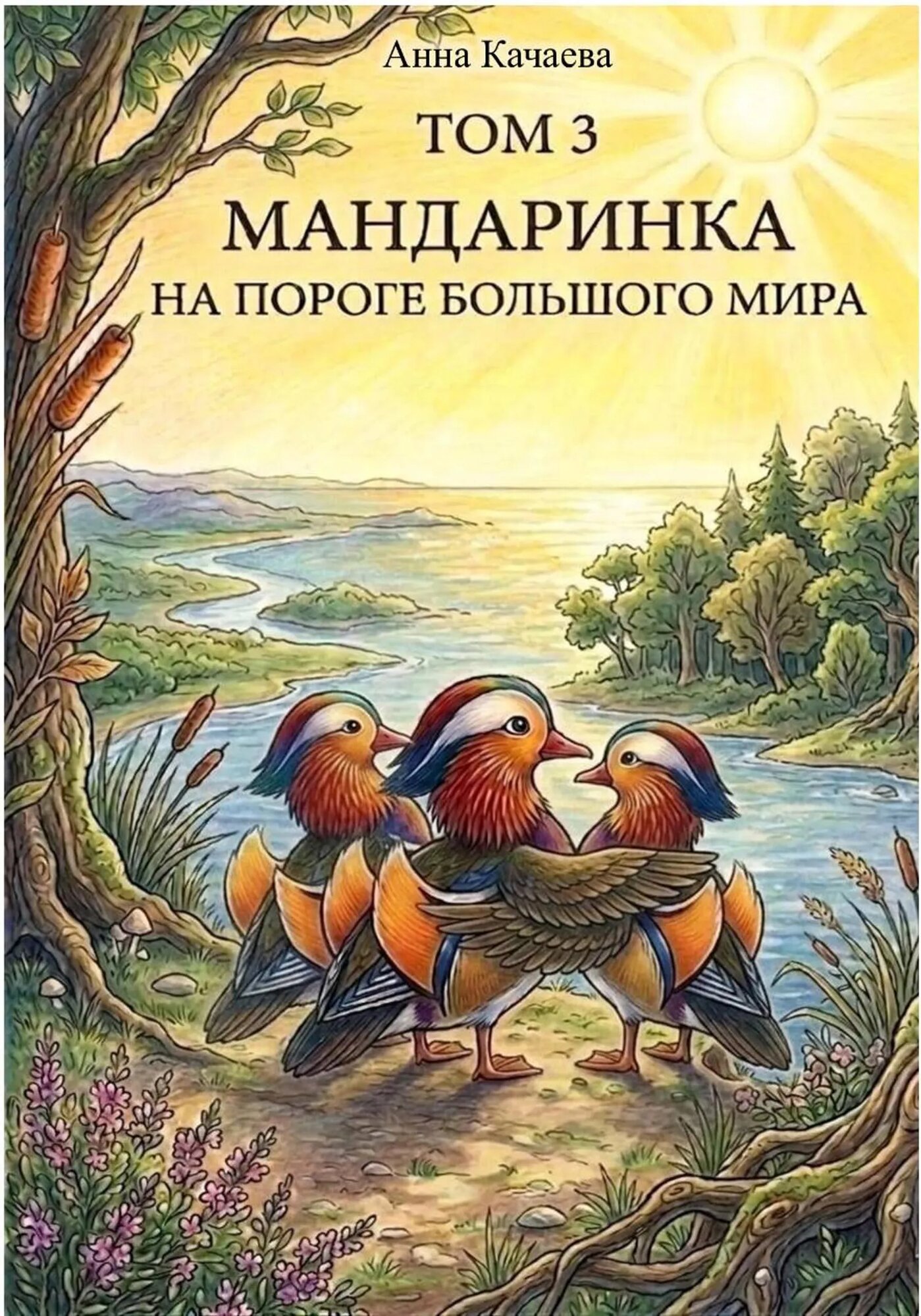 Мандаринка. На пороге большого мира. Том 3 [Цифровая книга]