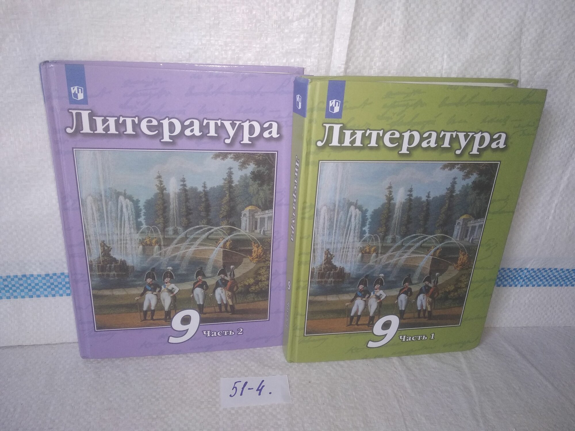 В. Ф. Чертов. Литература. 9 класс. В двух частях. Комплект из 2 книг.