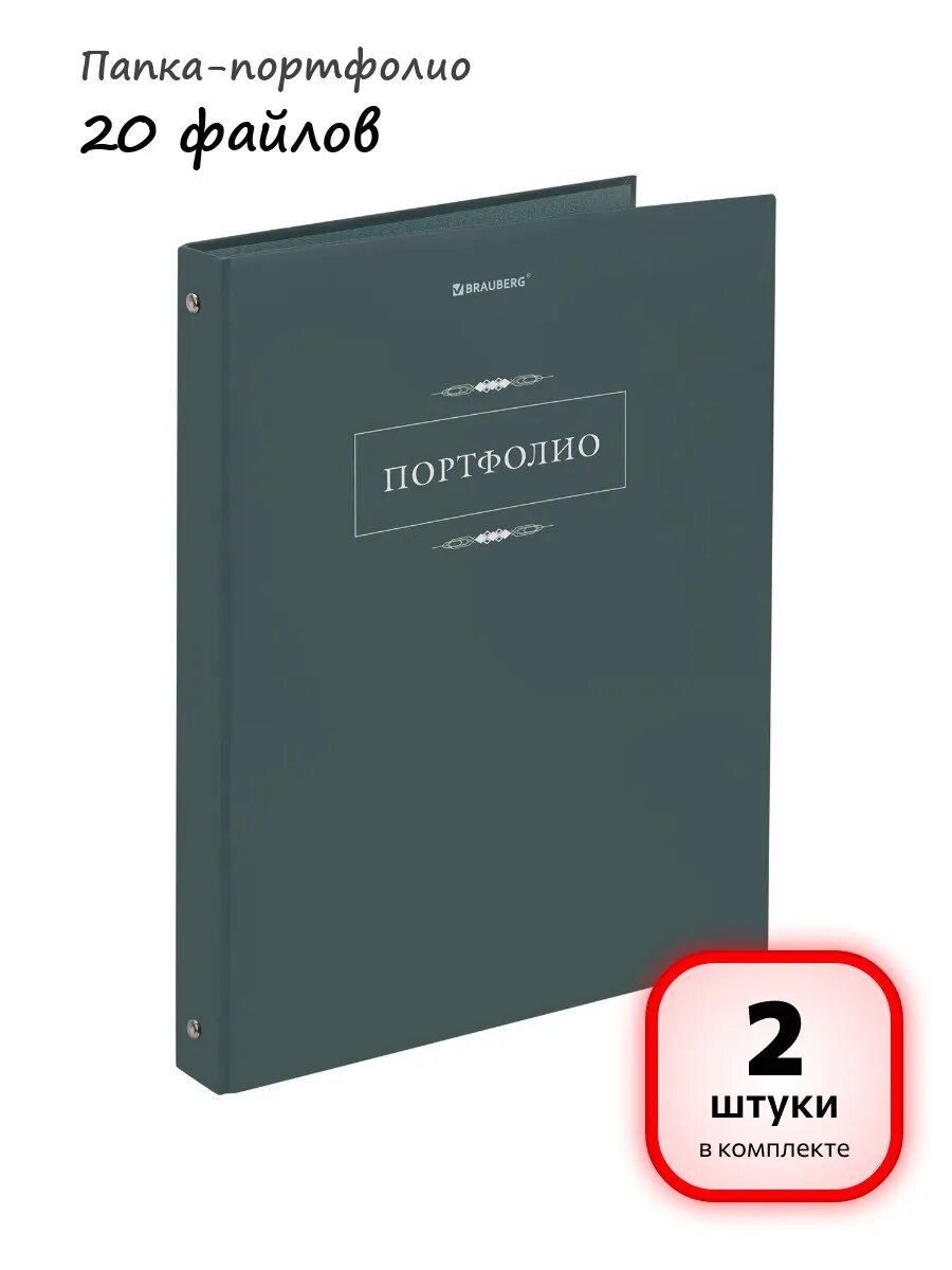 (2 штуки) - Папка-портфолио 20 файлов арт. 117554