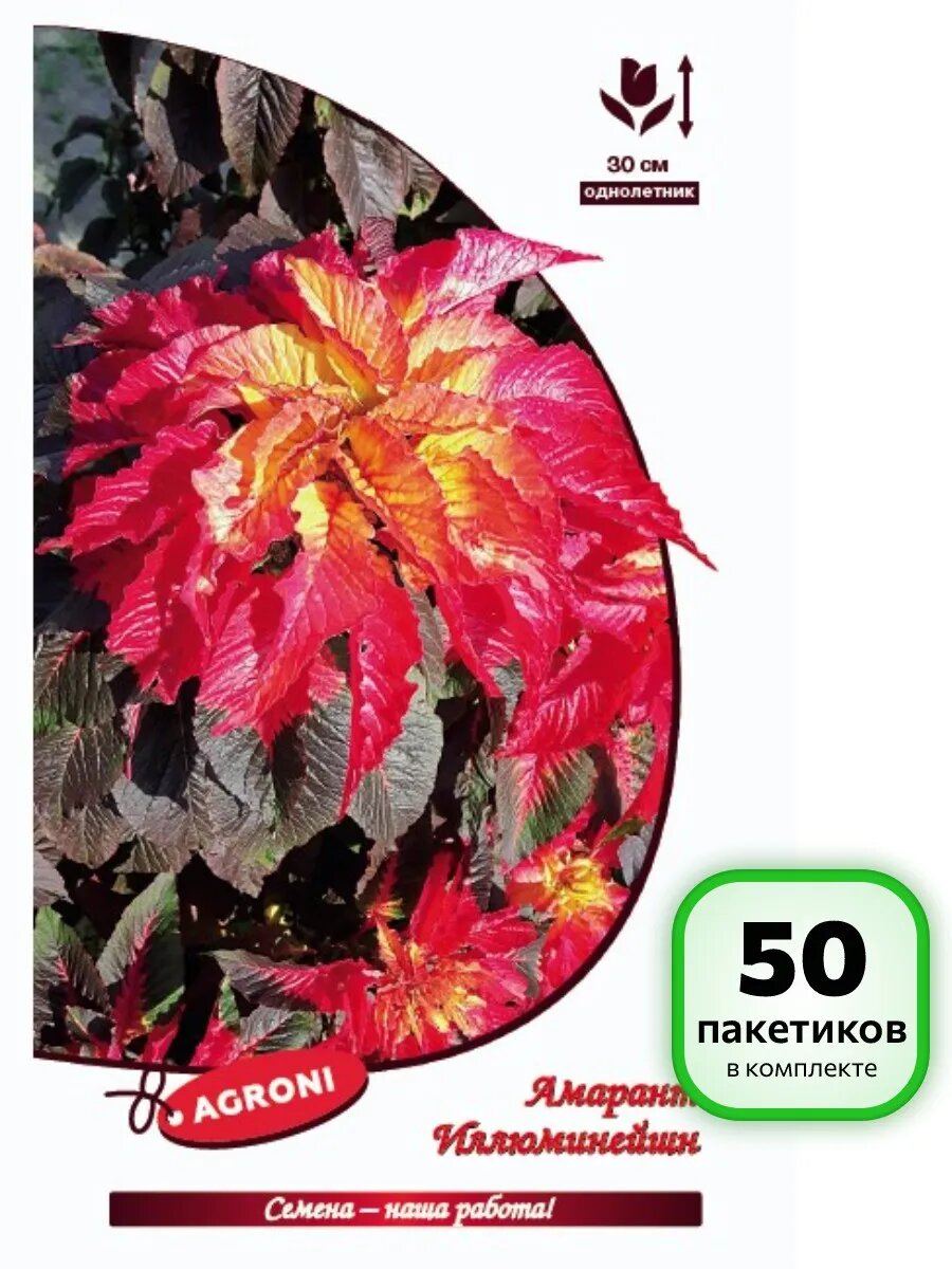 (50 шт.) - Семена Амарант Иллюминейшн (0,1г)
