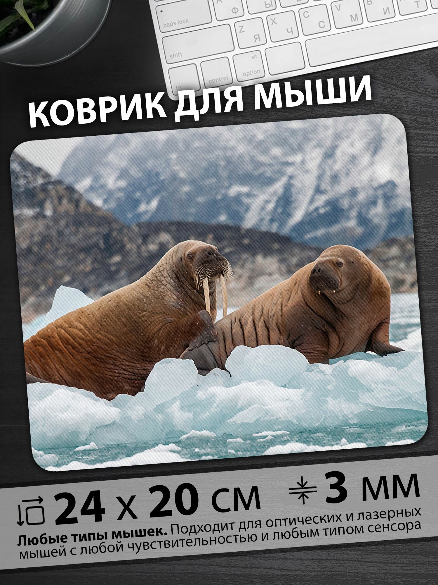 Резиновый коврик для мыши (24 x 20 см x 3 мм)
