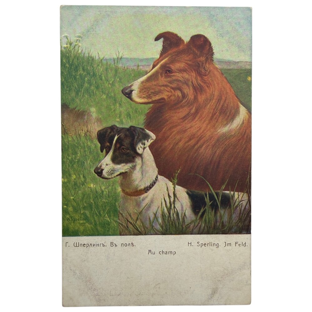 Почтовая открытка "Шперлинг - В поле" 1900-1914 гг. Ришар, Российская Империя