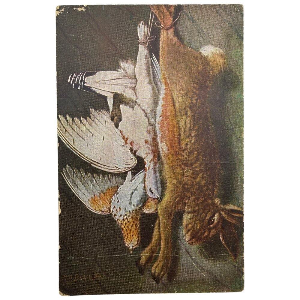 Почтовая открытка "Охотничий трофей с зайцем и дичью" 1900-1915 гг. Германская Империя