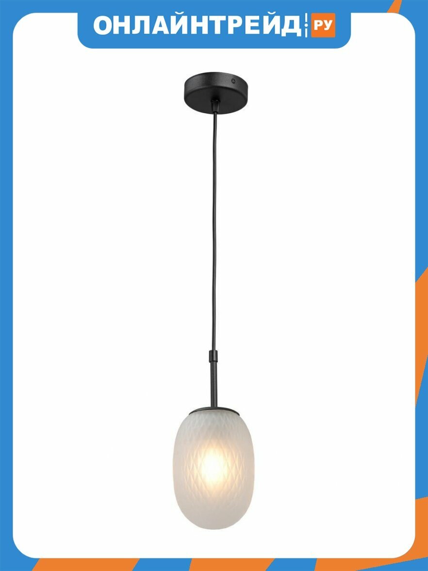 Потолочная люстра Vitaluce V28210-1/1S