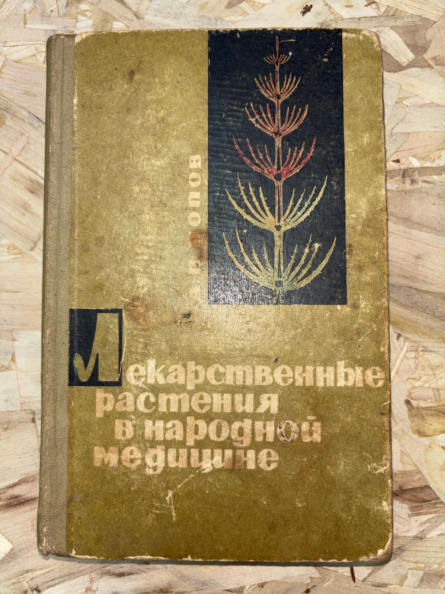 Лекарственные растения в народной медицине