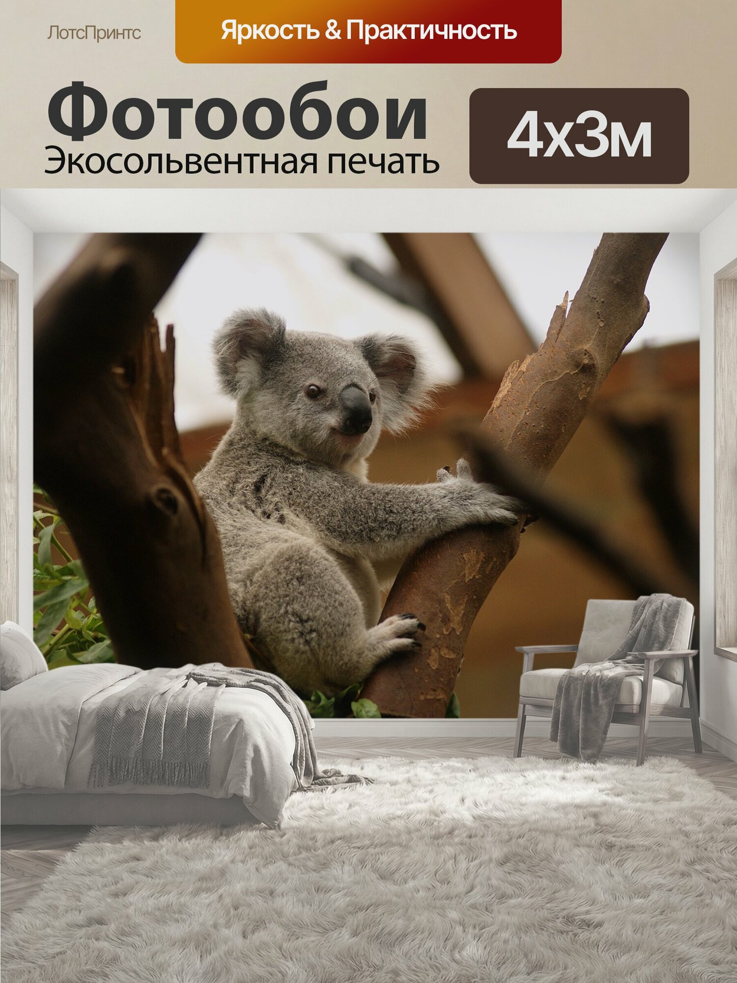 Фотообои "Коала, животное, животные" 400x300 см. экосольвентная печать