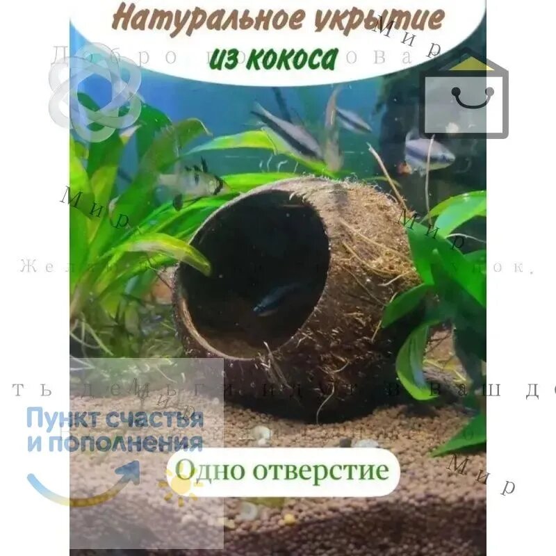 Декоративный кокос для аквариума - натуральное укрытие для рыб