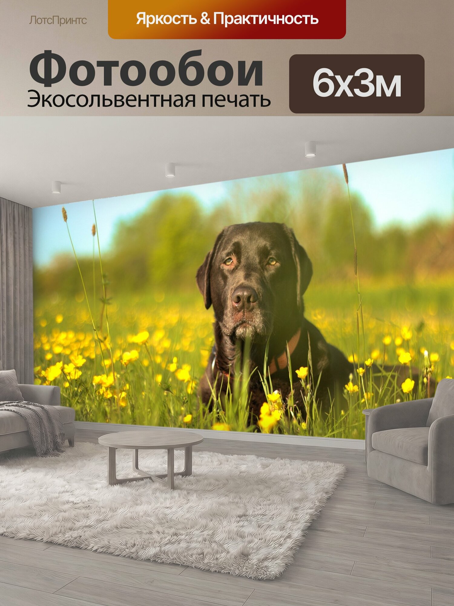Фотообои "Лабрадор, собака, цветочный луг" 600x300 см. экосольвентная печать