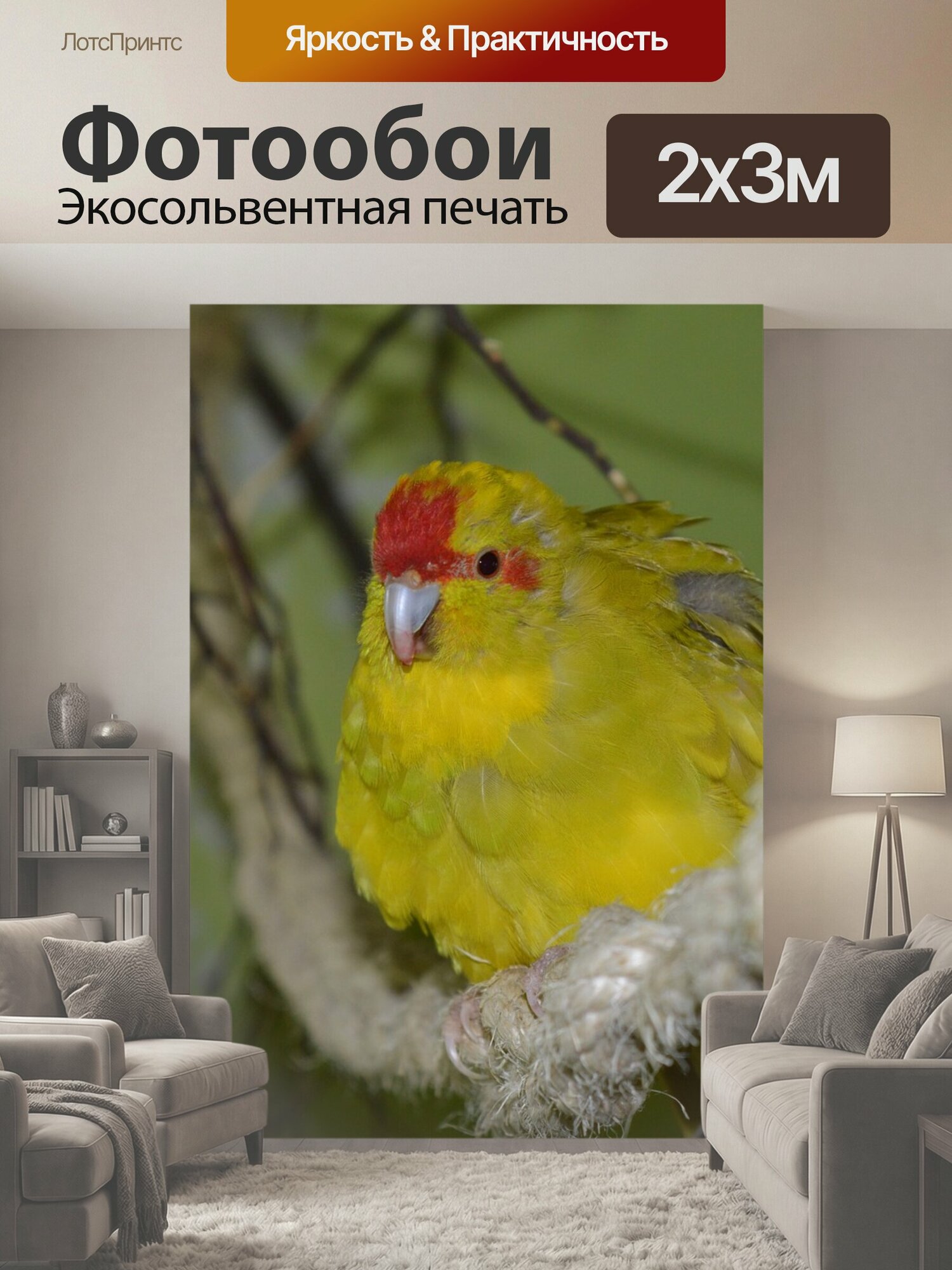 Фотообои "Попугай, бегущий попугай, птица" 200x300 см. экосольвентная печать