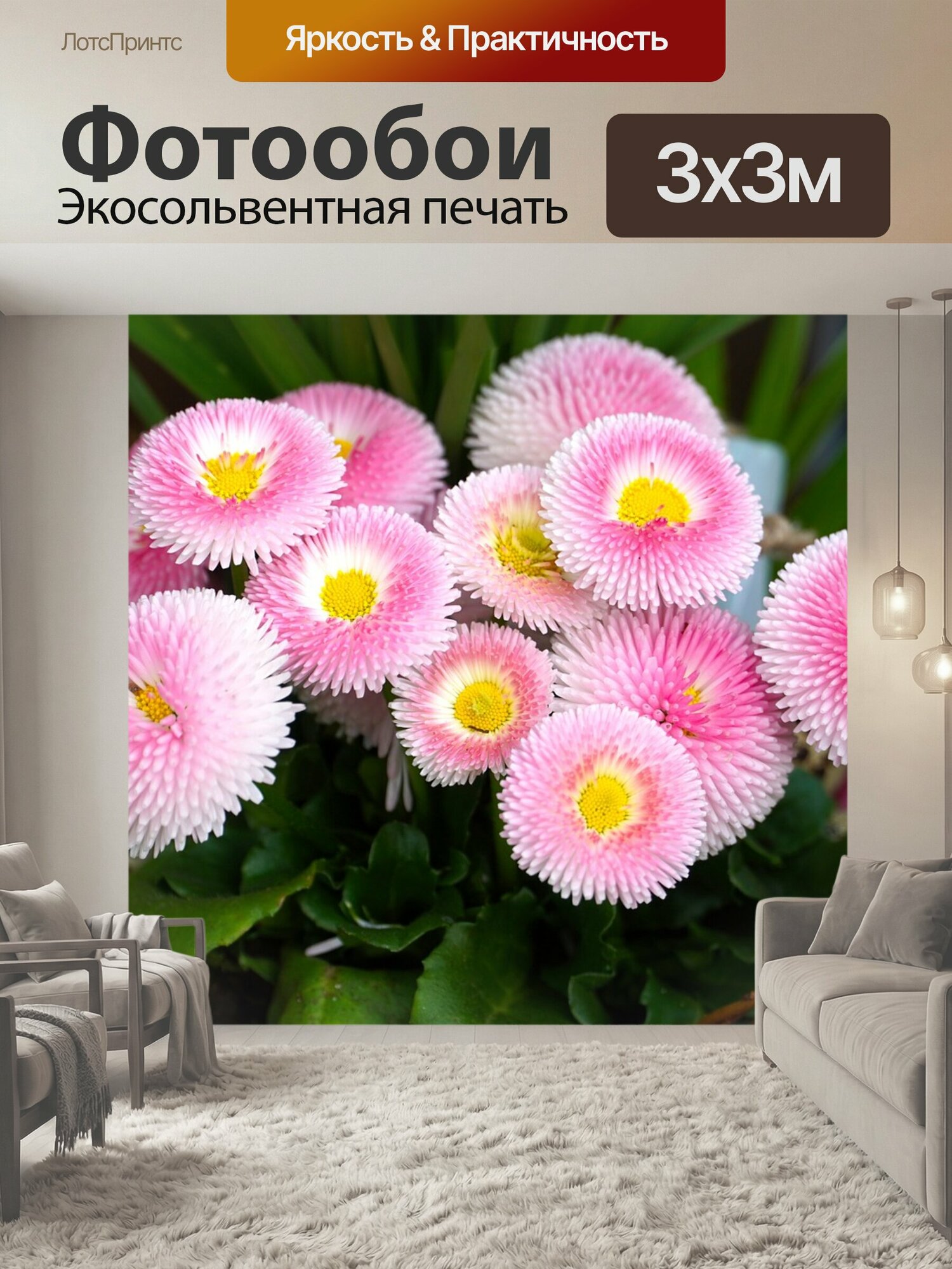 Фотообои "Маргаритка, цветок, весна" 300x300 см. экосольвентная печать