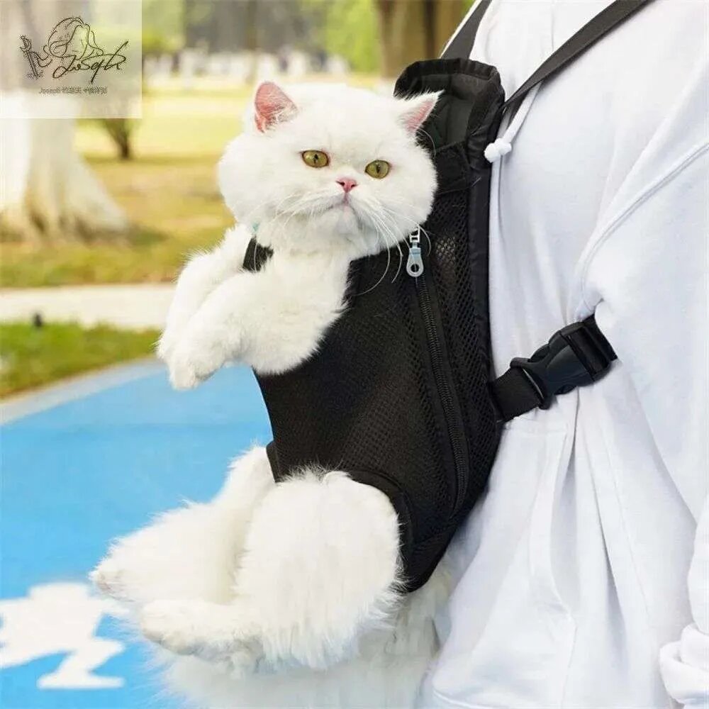 Кошка Перевозчик Сумка — фото 1