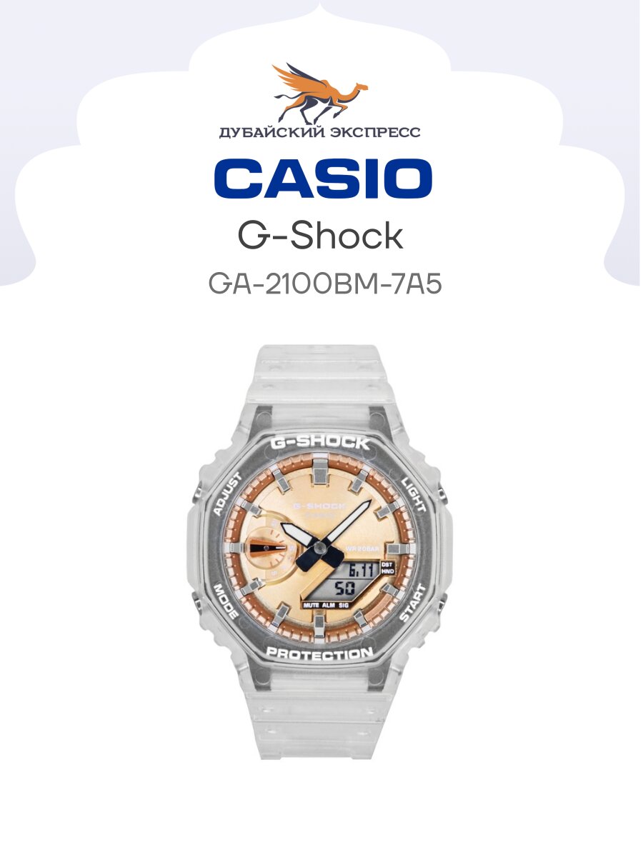  CASIO
