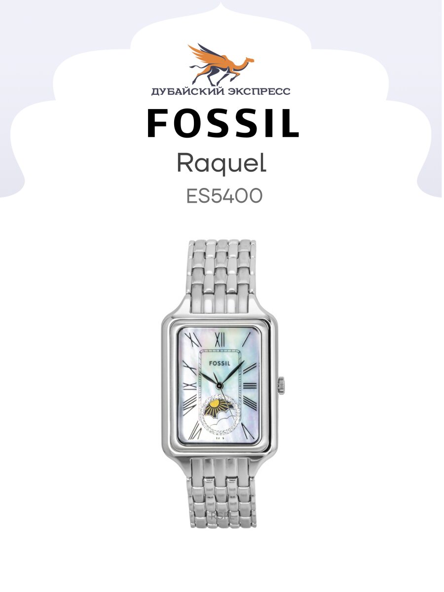  FOSSIL