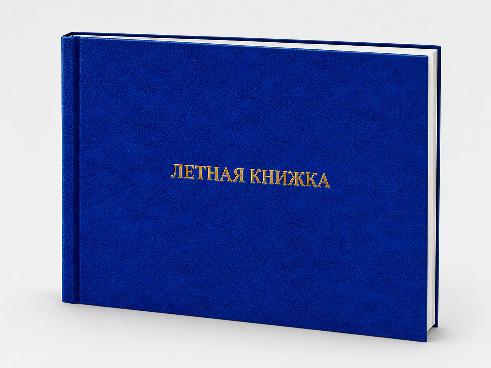 Летная книжка летчика, синий мрамор, бумвинил