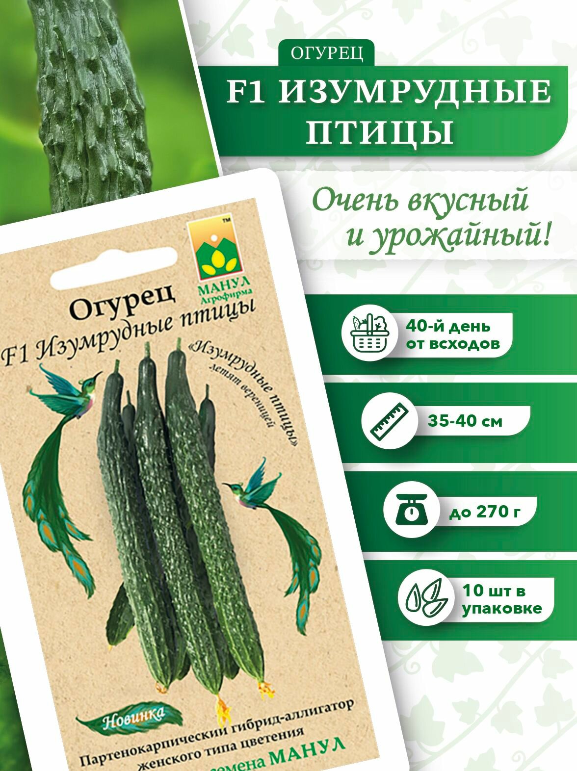Семена "Манул" Огурцы Самоопыляемые Изумрудные птицы. изумрудные птицы самоопыляемые огурцы