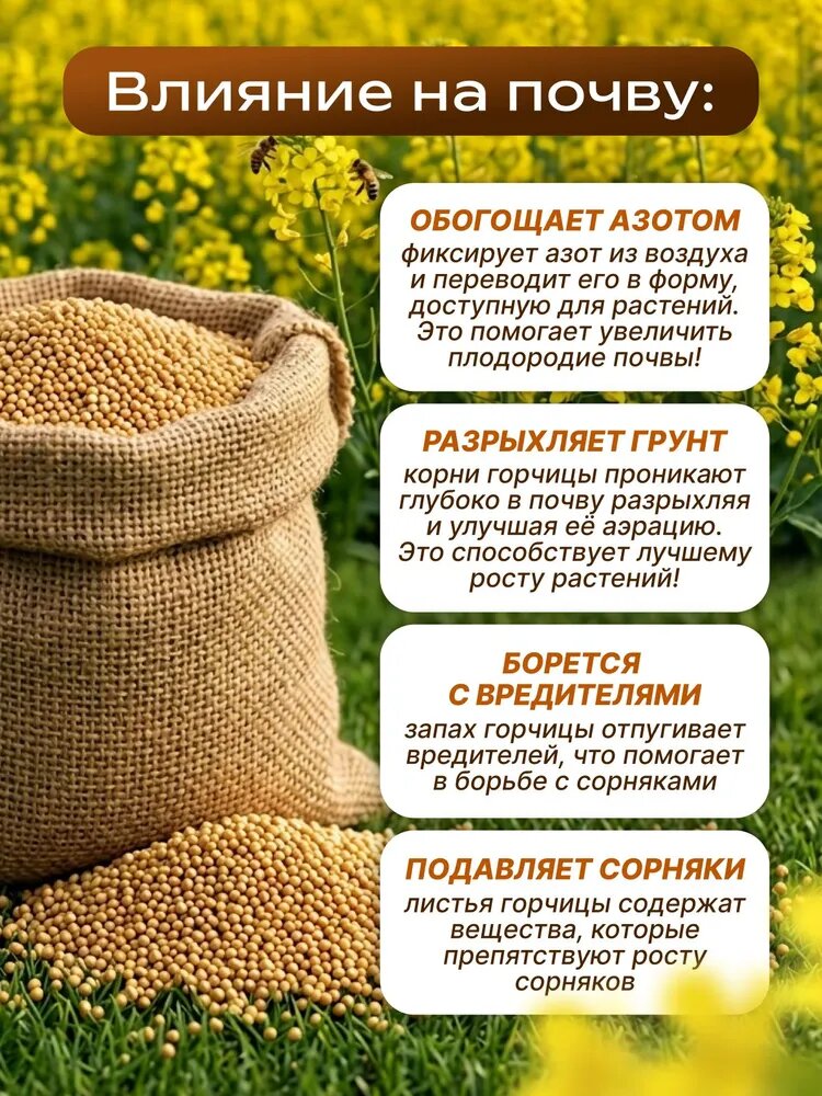 Горчица семена Сидерат для посева 5кг. — фото 1