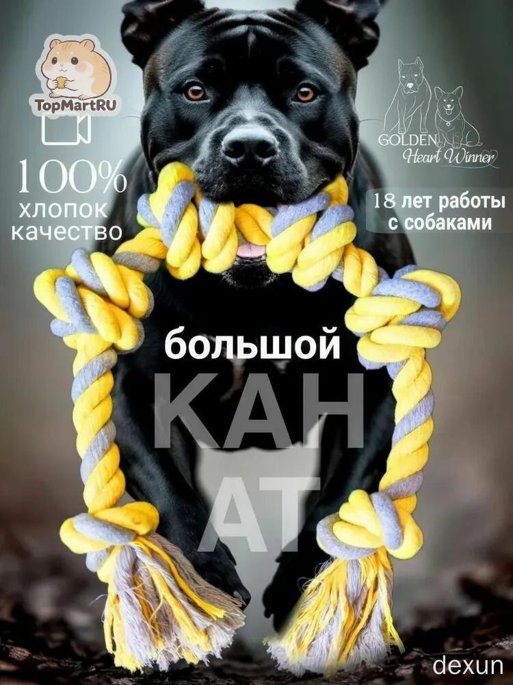Канат для собак 60 см Golden Heart Winner, 100% хлопок, двойное плетение