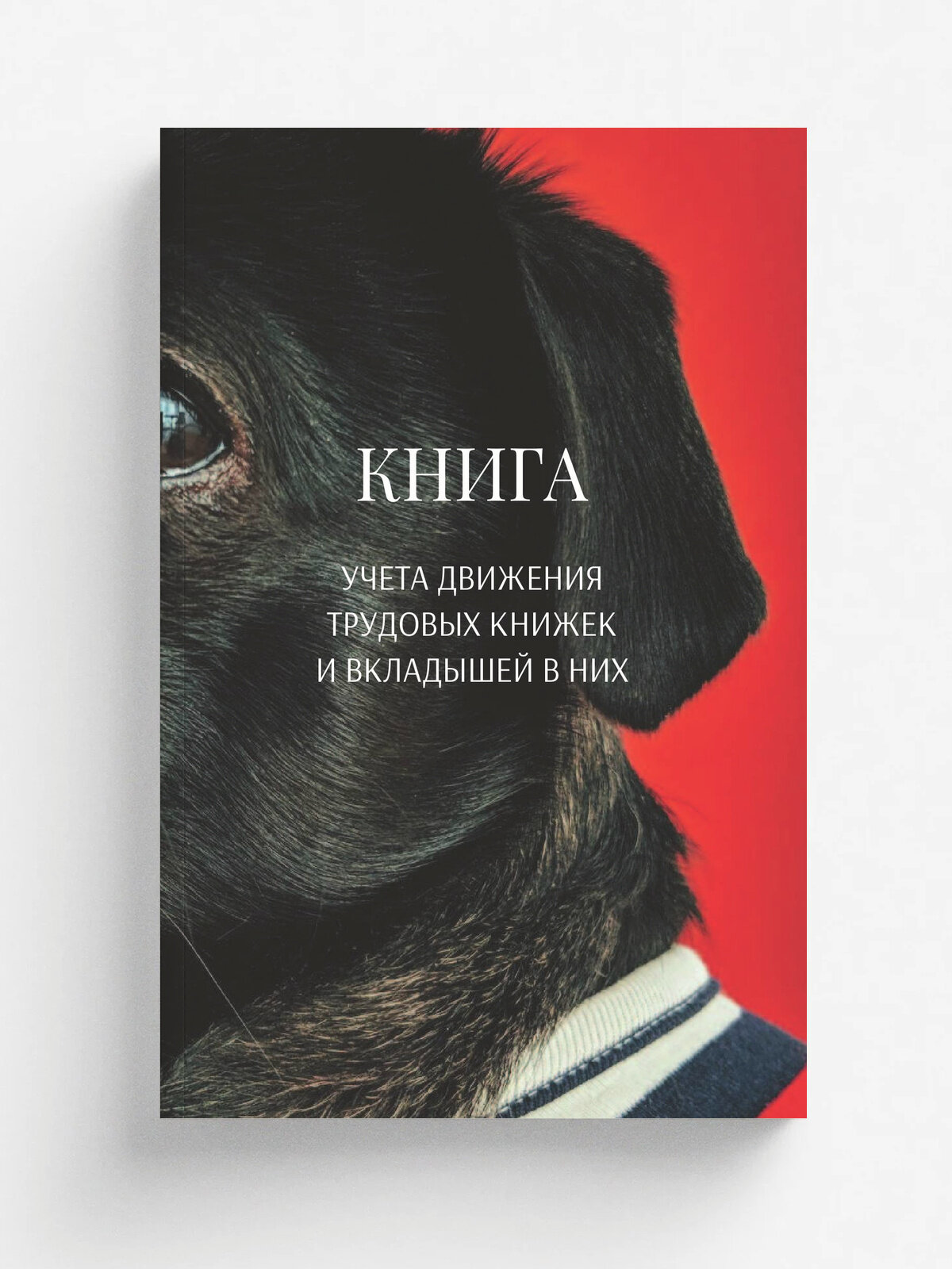 Книга учета трудовых книжек и вкладыщей к ним
