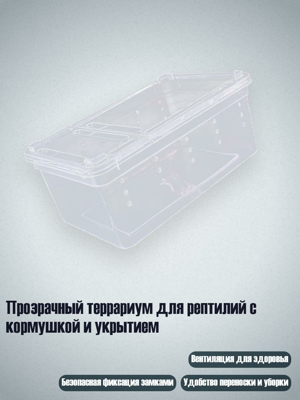 Прозрачный террариум для рептилий с кормушкой и укрытием, 3