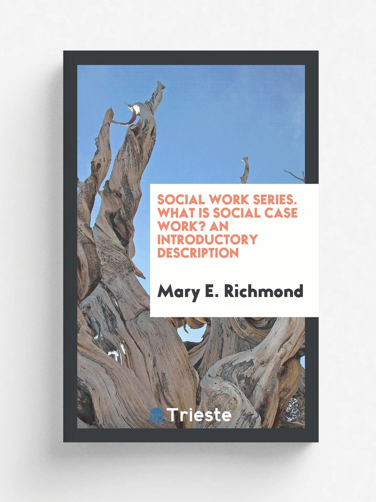 What is social case work? an introductory description