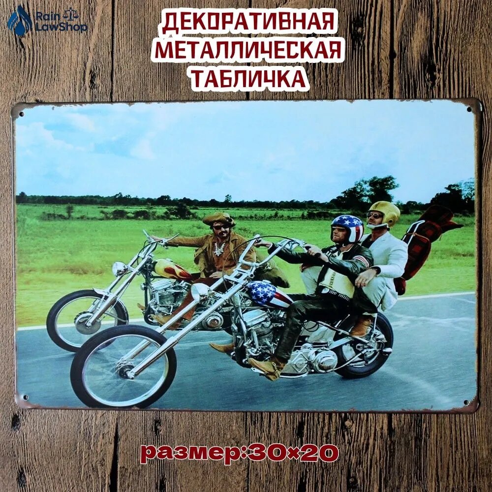 Декоративная металлическая плашка Indian Easy Rider размер20х30 см