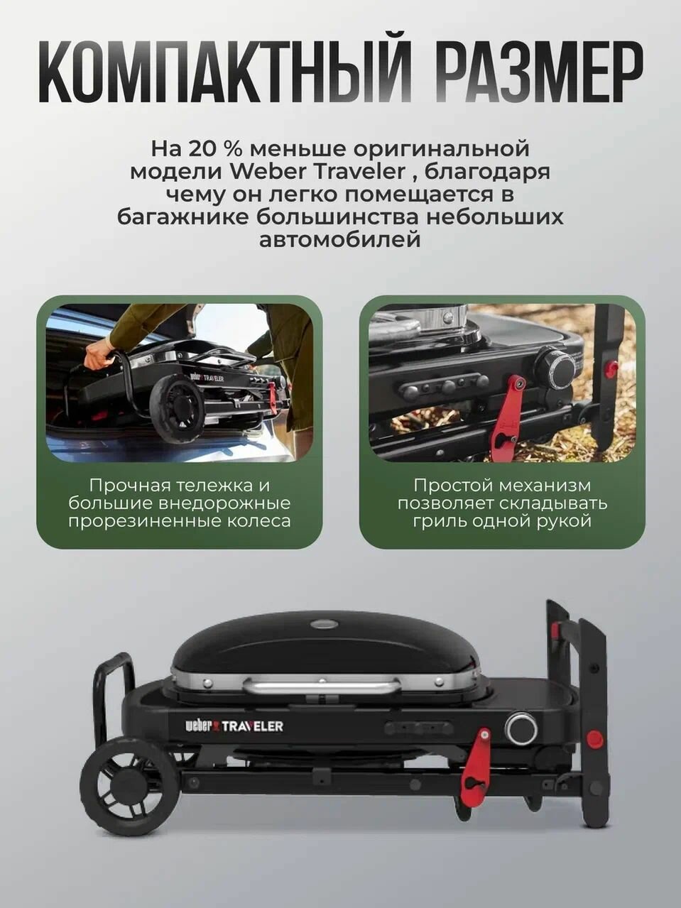 Барбекю-гриль — фото 1