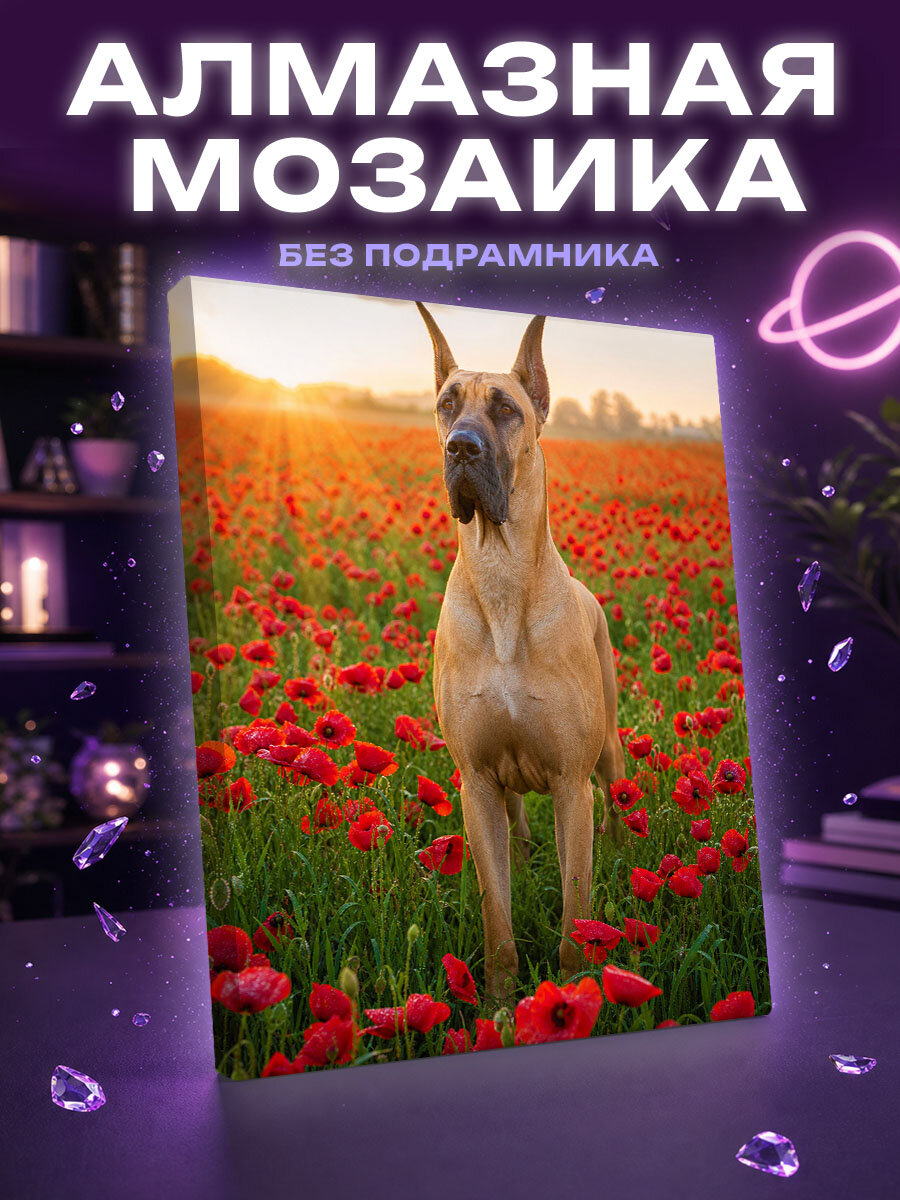 Алмазная мозаика Немецкий дог среди маков