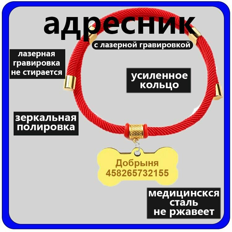 Адресник для собак и кошек с гравировкой и ошейником S 22 -28cm бирка на ошейник гравировка для питомцев малый размер