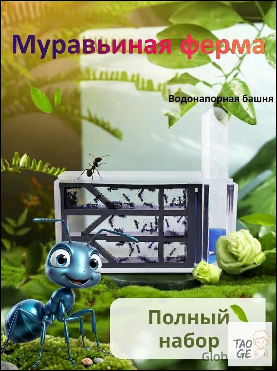 Муравьиная ферма полный комплект Формикарий для муравьев комплект формикария стартовый набор