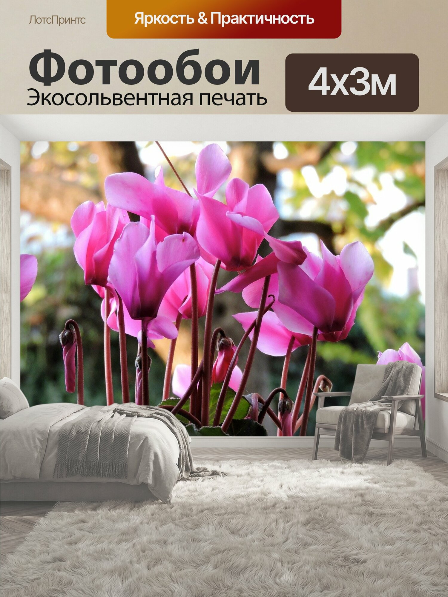 Фотообои "Цикламен, цветок, розовый цвет" 400x300 см. экосольвентная печать