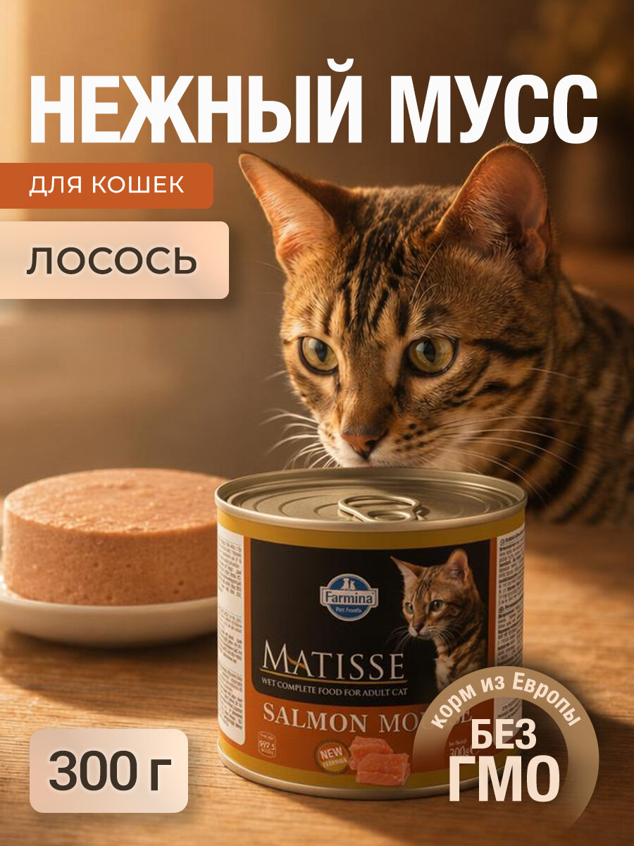 Консервы для кошек Farmina Matisse мусс с лососем, 300гр