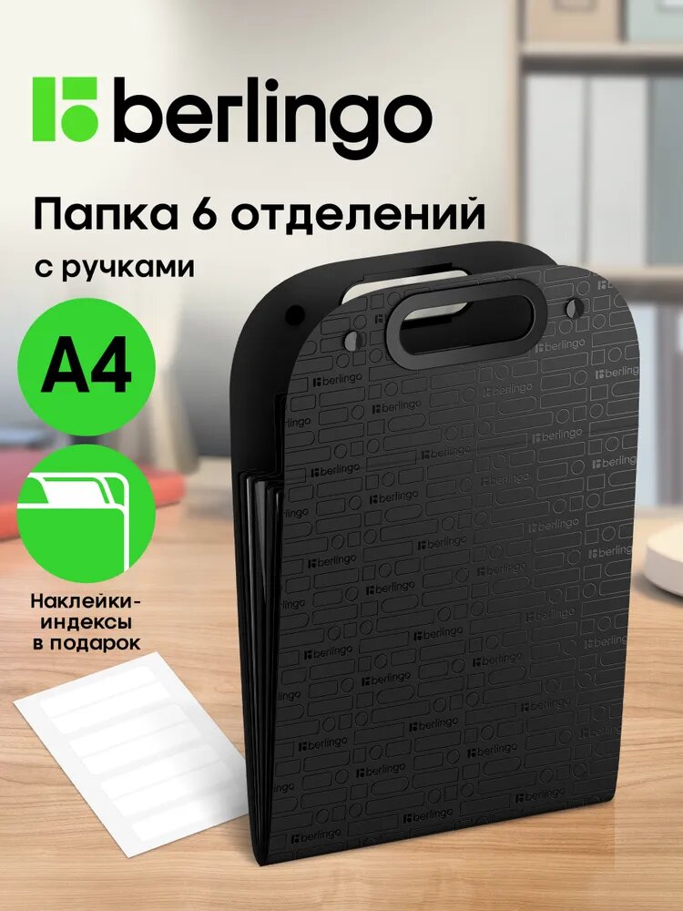 Папка органайзер для документов А4, семейная, 6 отделений